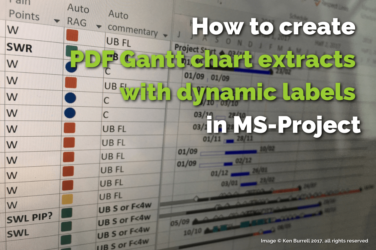 How to create PDF Gantt charts with dynamic labels in MS-Project®