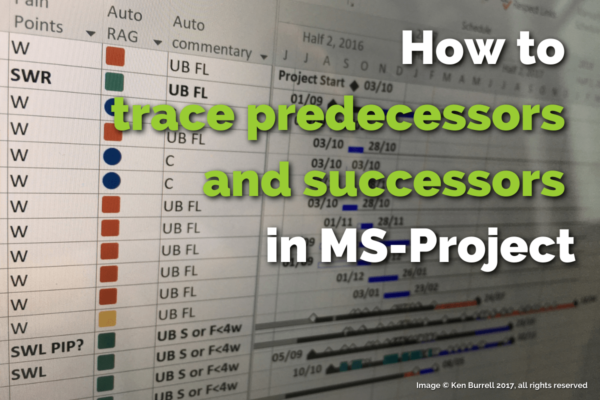 How To Set Up Custom Gantt Chart Views In Ms Project ® The Pmo