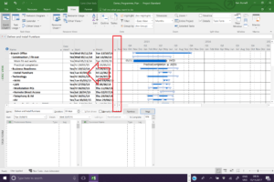 How to set up custom Gantt chart views in MS-Project ® - The PMO ...